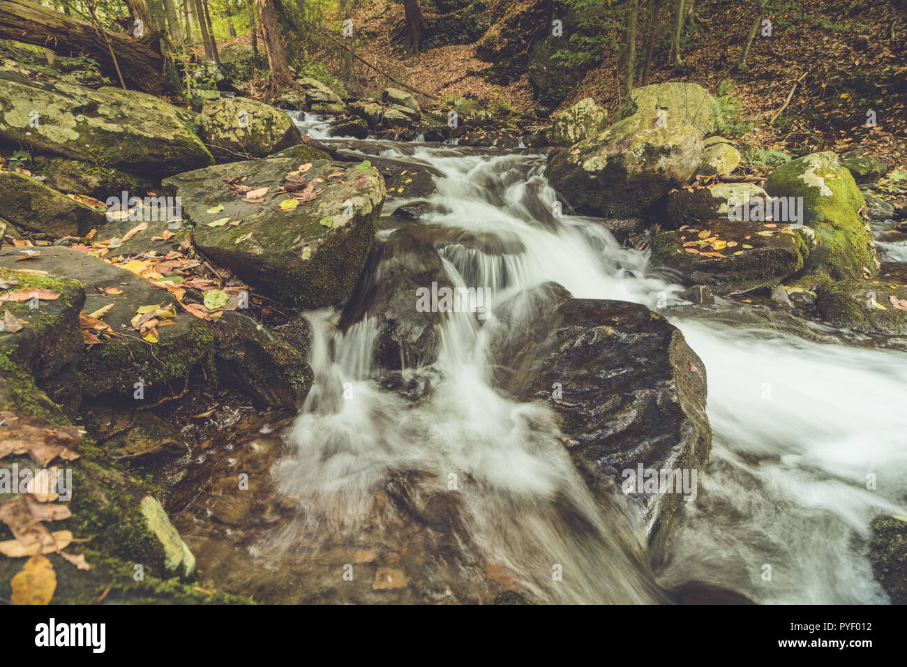Bushkill Falls in Poconos, PA, surrounded by lush fall foliage Stock ...