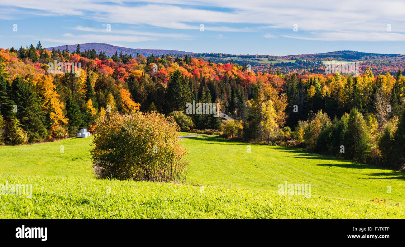 hillside of green meadow with wooded bright autumn fall foliage Stock ...