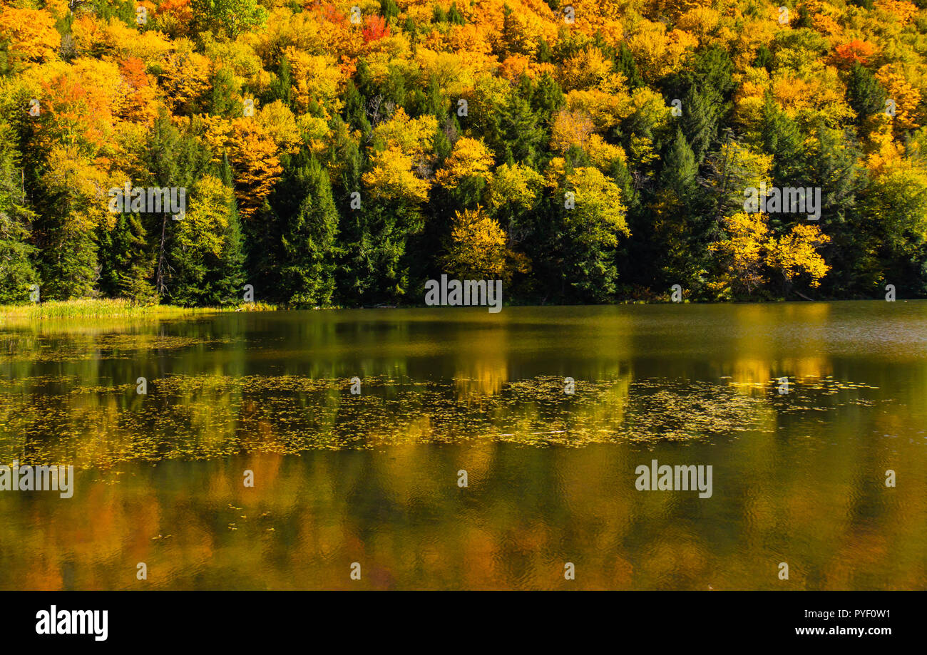 Golden colors and lake reflection hi-res stock photography and images ...
