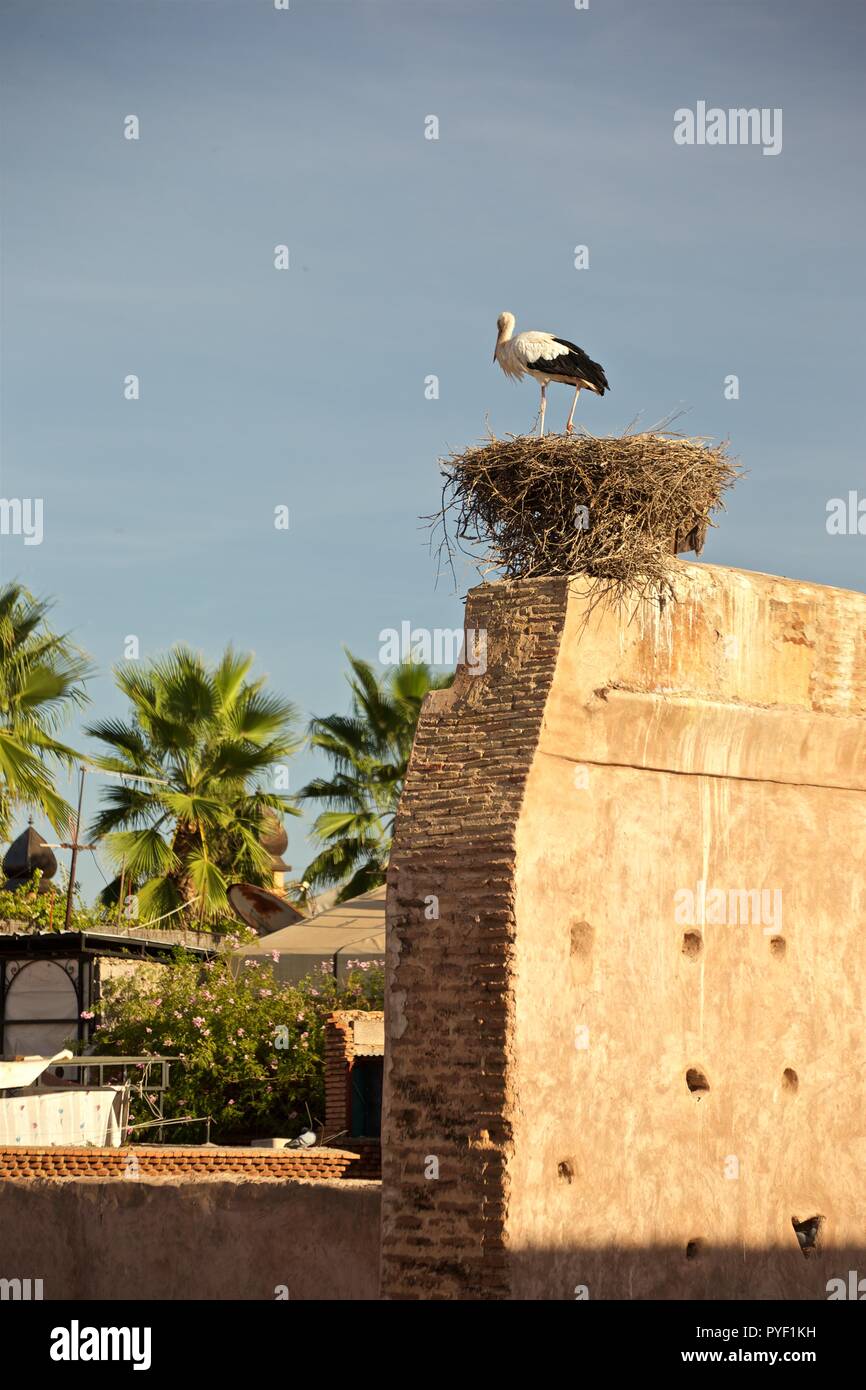 Stork cafe hi-res stock photography and images - Alamy