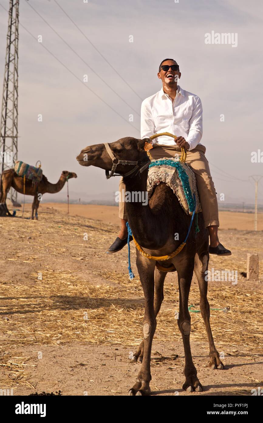 Camel riding, Morocco Stock Photo - Alamy