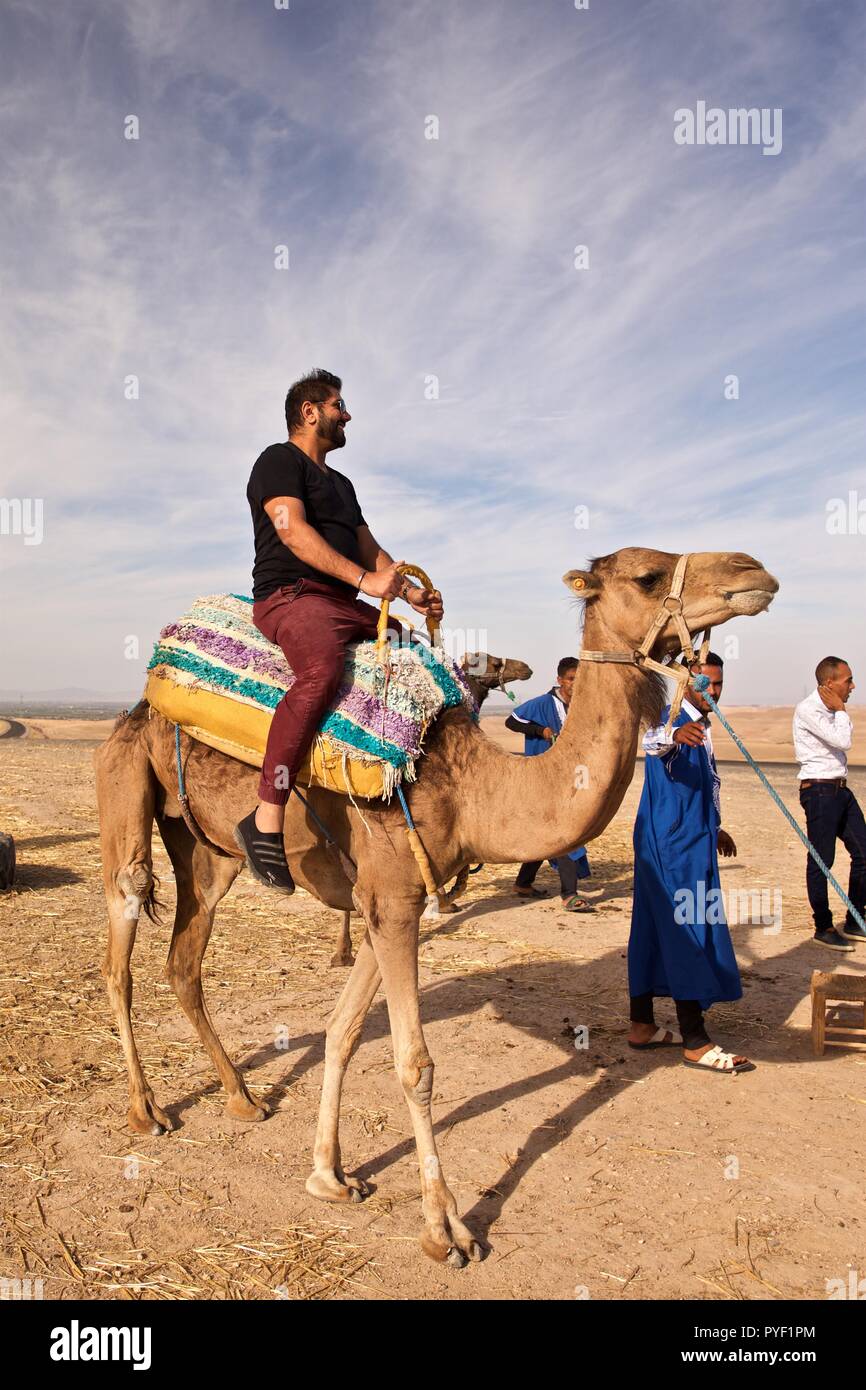 Camel riding, Morocco Stock Photo - Alamy