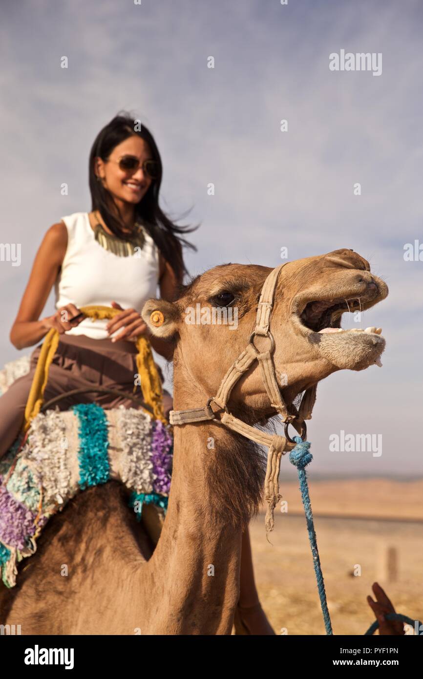 Marrakech camel riding hi-res stock photography and images - Alamy