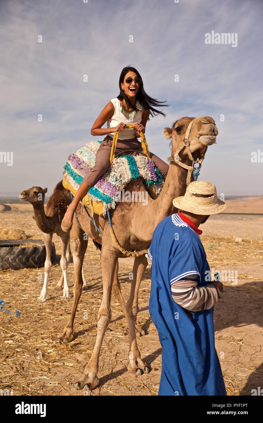 Camel riding, Morocco Stock Photo - Alamy