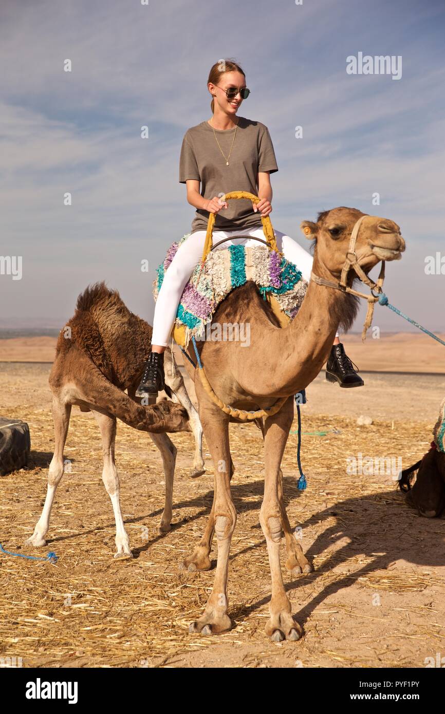 Camel riding, Morocco Stock Photo - Alamy