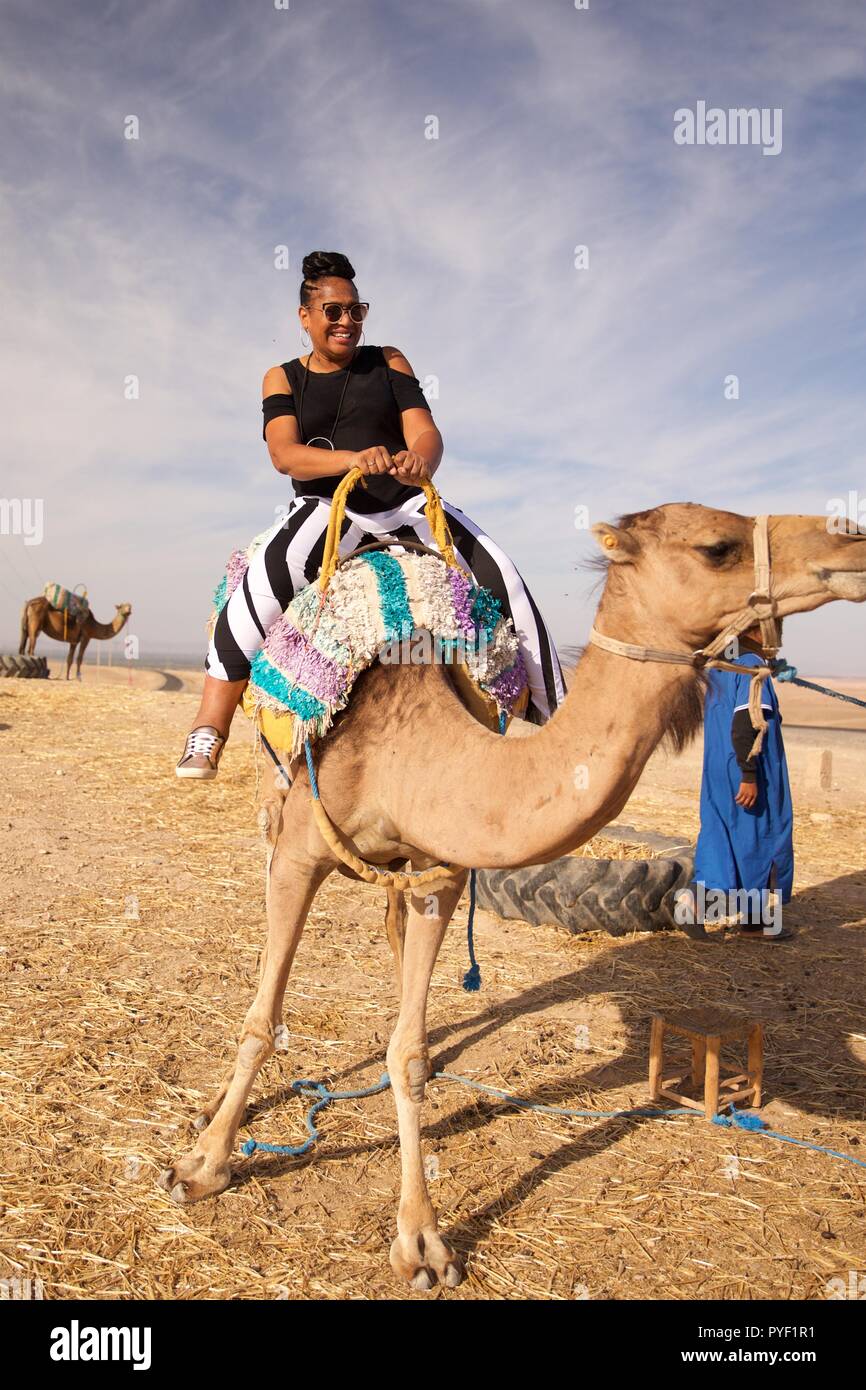 Camel riding, Morocco Stock Photo - Alamy