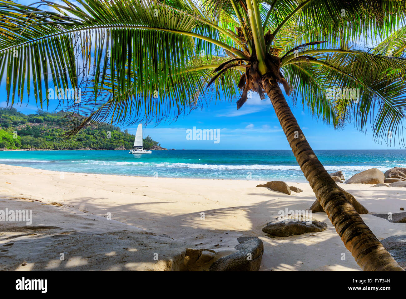 Exotic sandy beach and a sailing boat in the turquoise sea Stock Photo ...