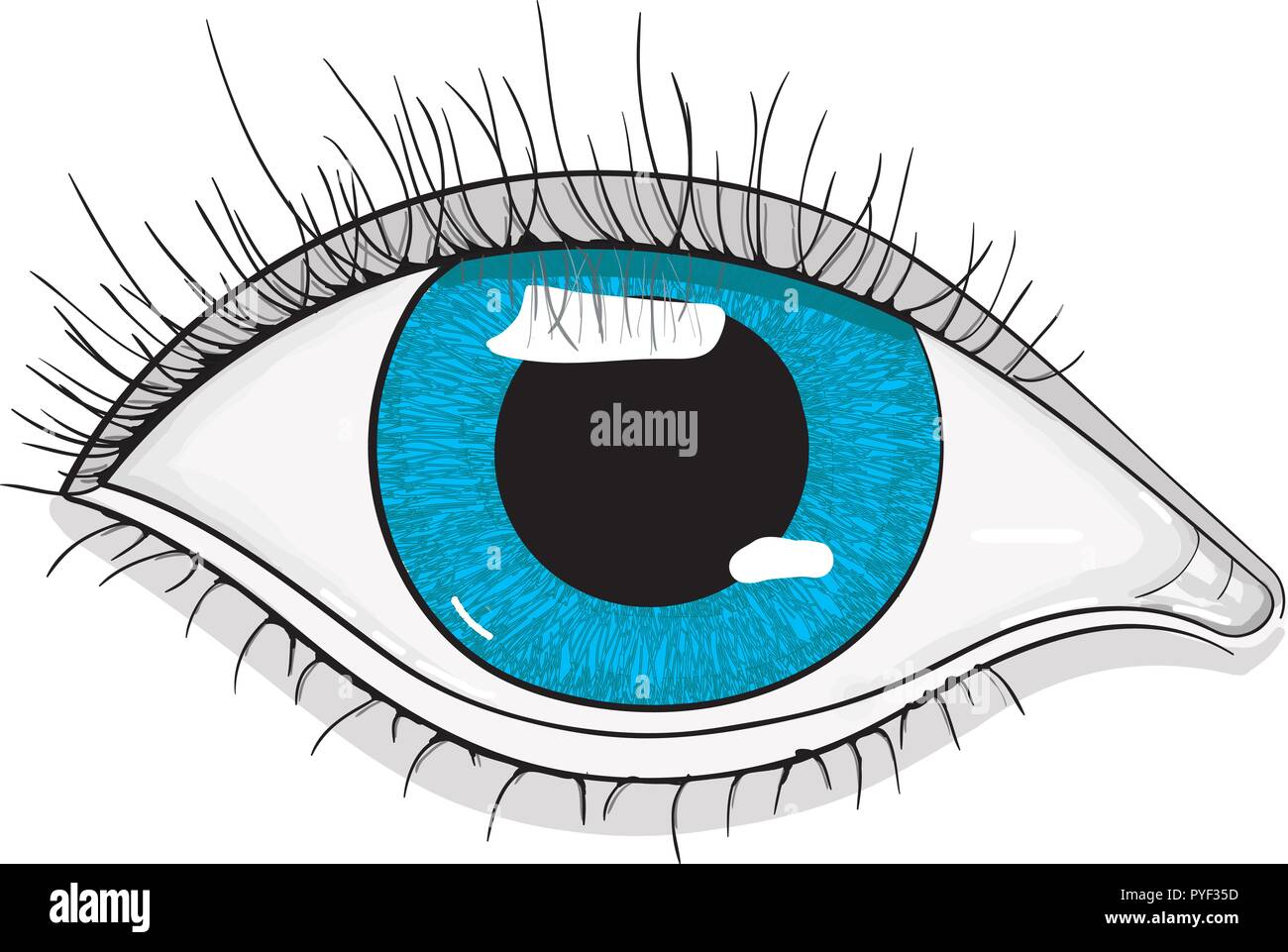 Human blue eye Stock Vector Image & Art - Alamy
