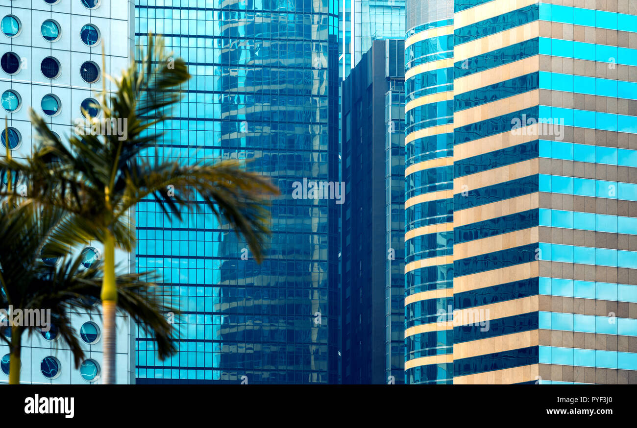 office building closeup and tree, business concept Stock Photo - Alamy