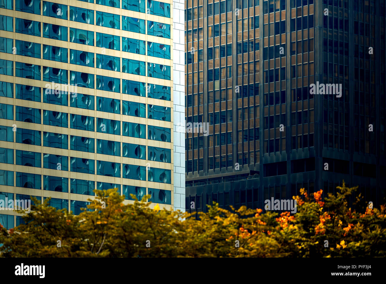 office building closeup and tree, business concept Stock Photo - Alamy