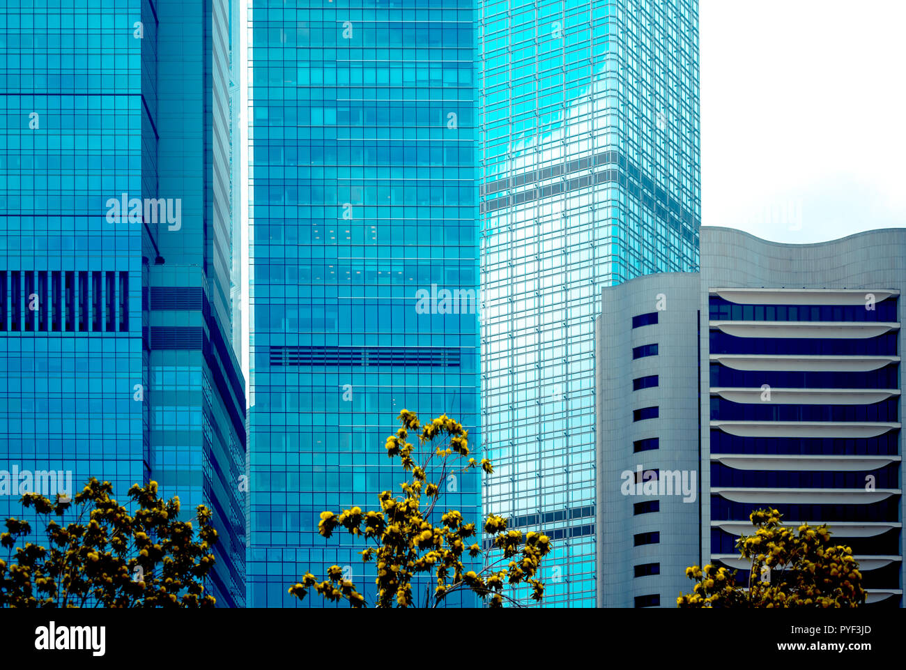 office building closeup and tree, business concept Stock Photo - Alamy