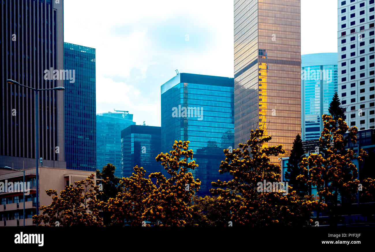office building closeup and tree, business concept Stock Photo - Alamy