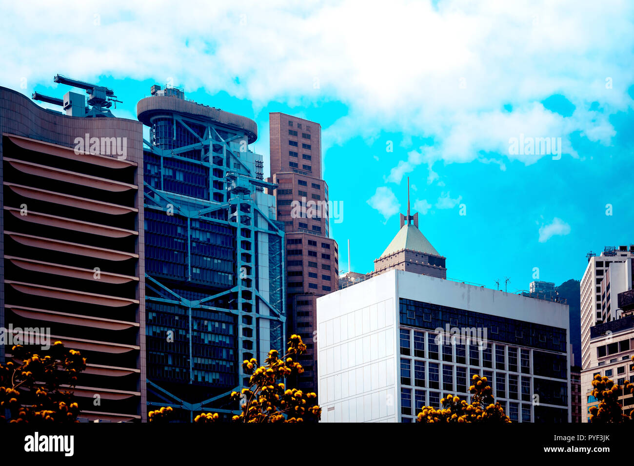 office building closeup and tree, business concept Stock Photo - Alamy