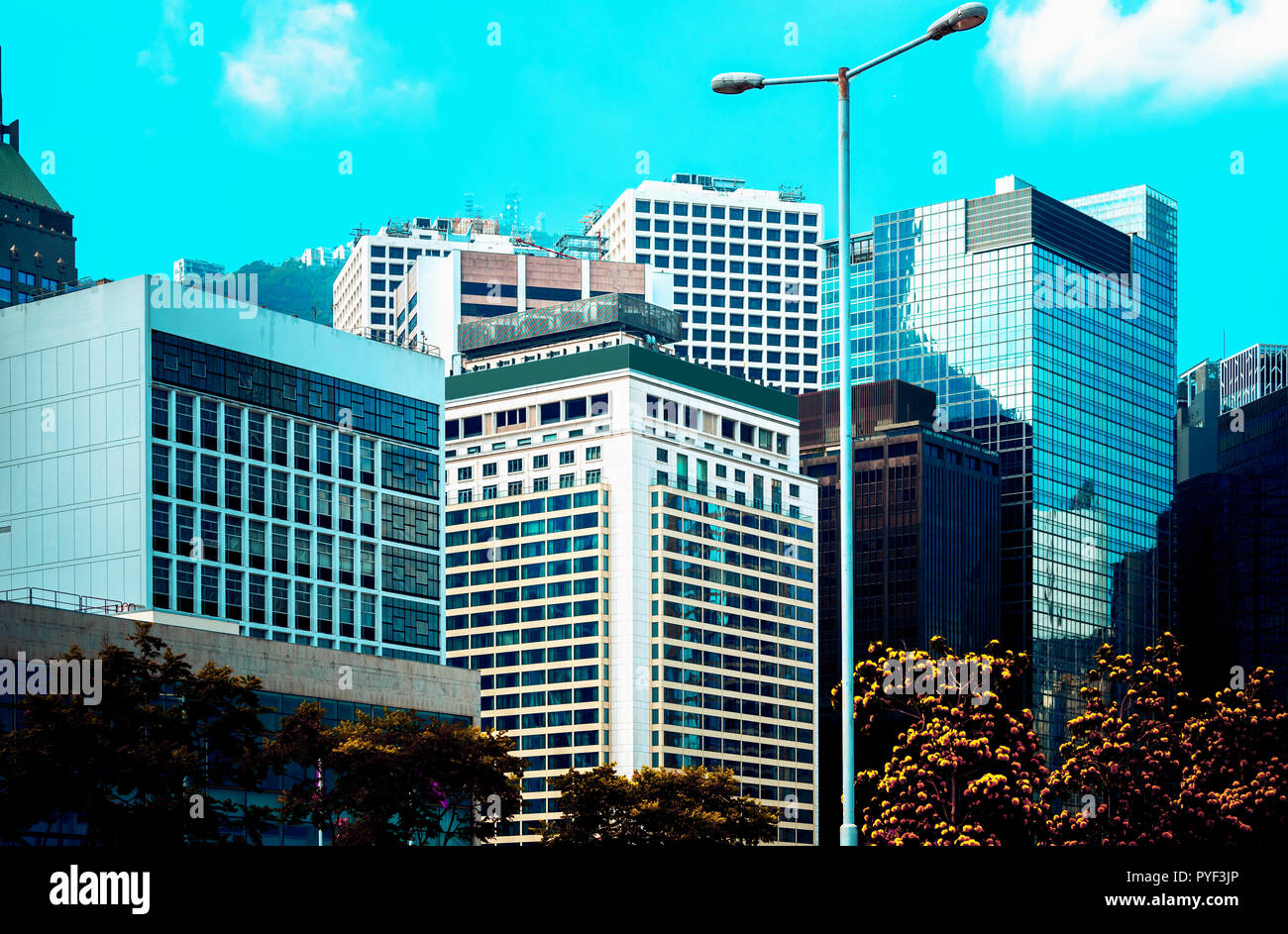office building closeup and tree, business concept Stock Photo - Alamy