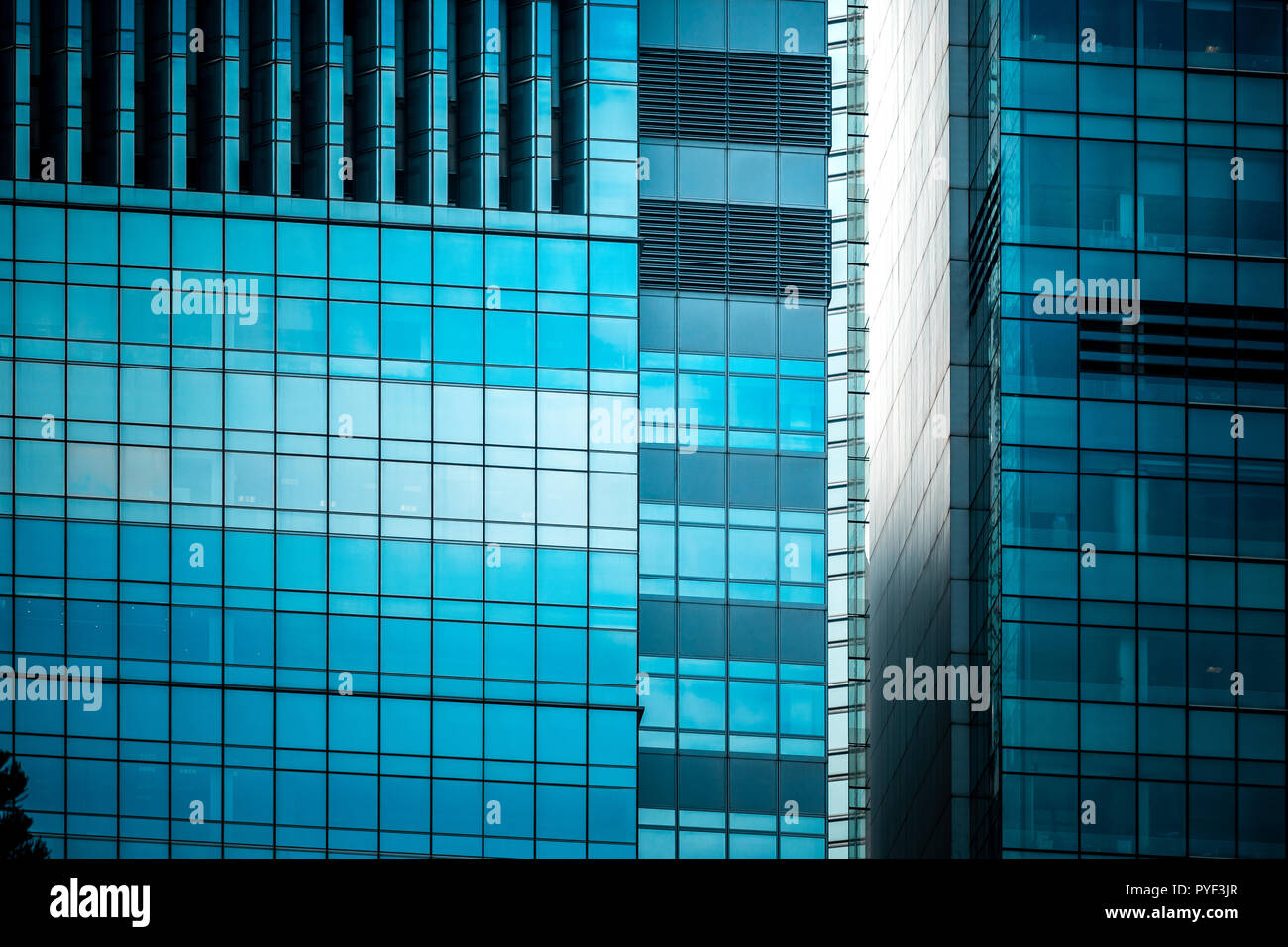 office building closeup and tree, business concept Stock Photo - Alamy
