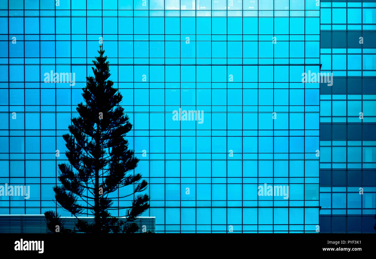 office building closeup and tree, business concept Stock Photo - Alamy