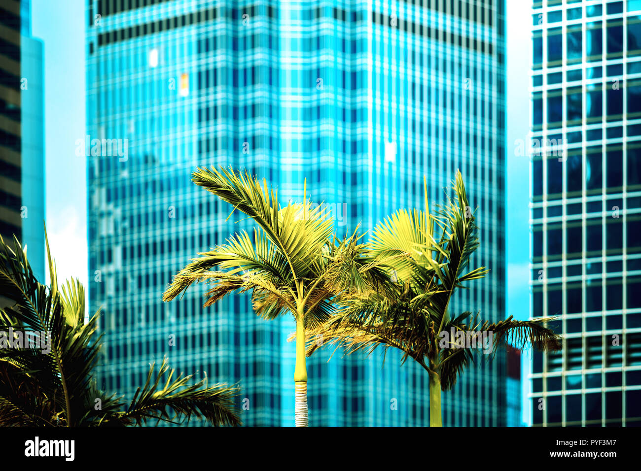 office building closeup and tree, business concept Stock Photo - Alamy