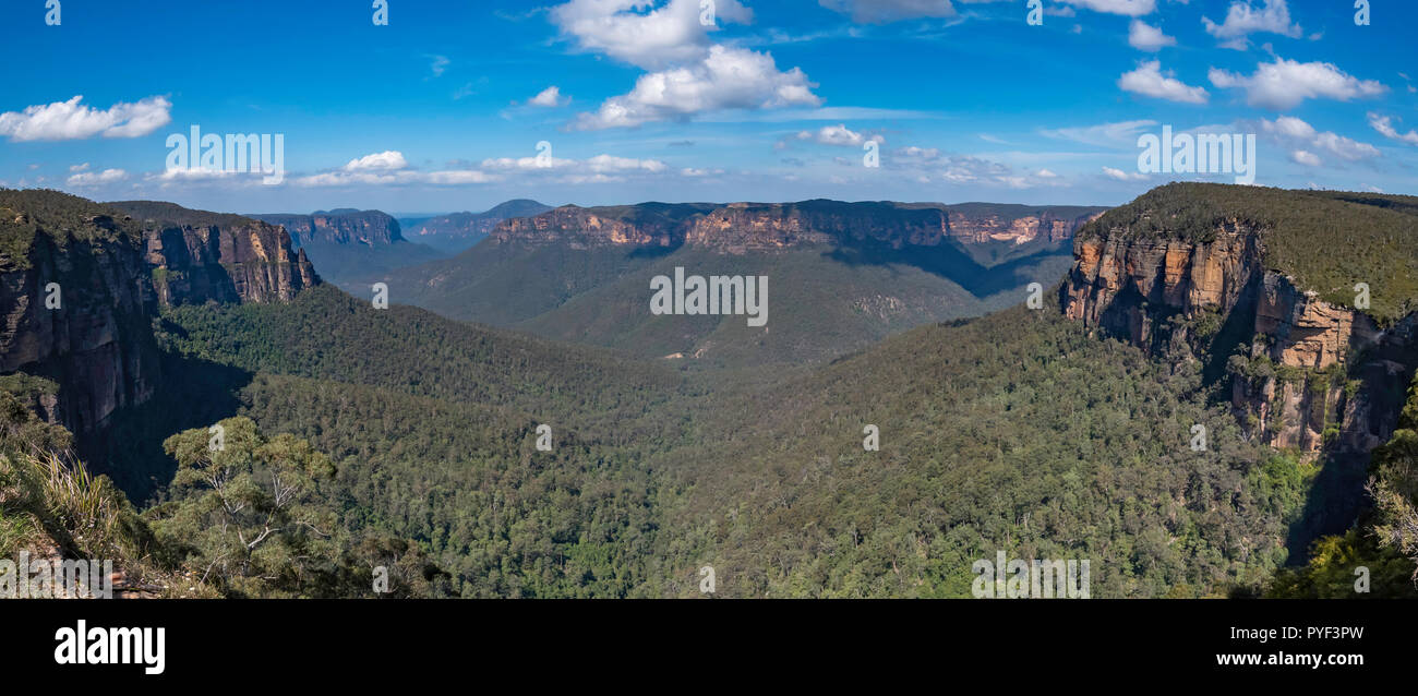 Grose Valley and the Blue Gum Forest viewed from Govetts Leap Lookout ...