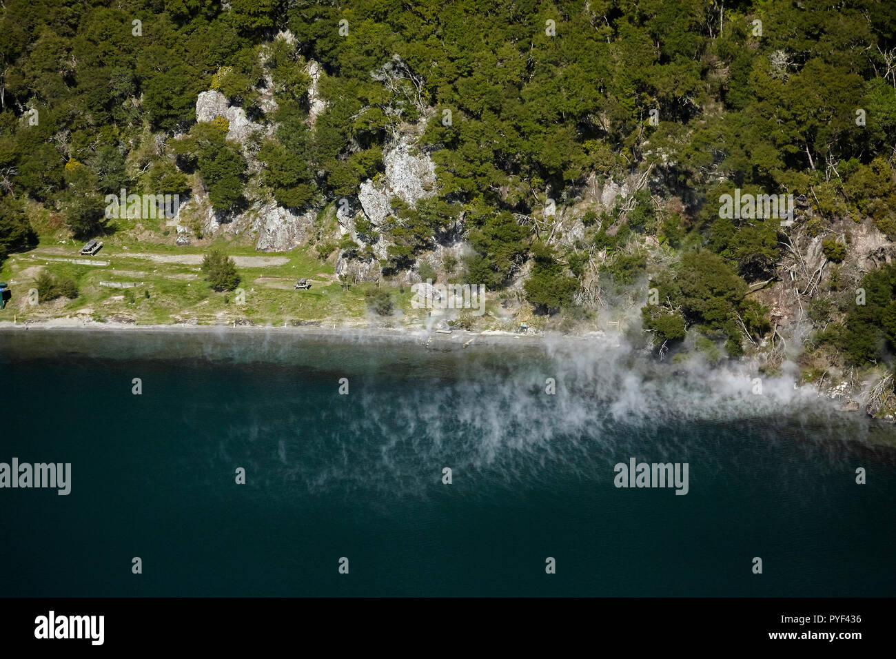 Rata tree hi-res stock photography and images - Alamy