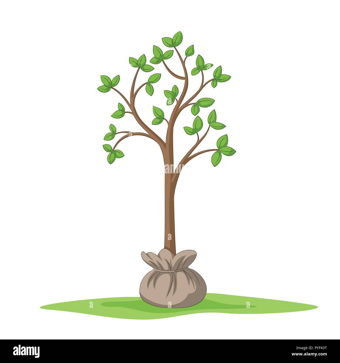 Young tree in the bale, isolated on white background Stock Vector Image ...