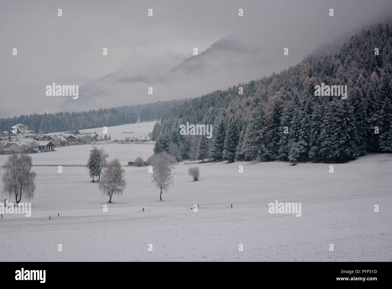 a great first snowfall of winter Stock Photo - Alamy