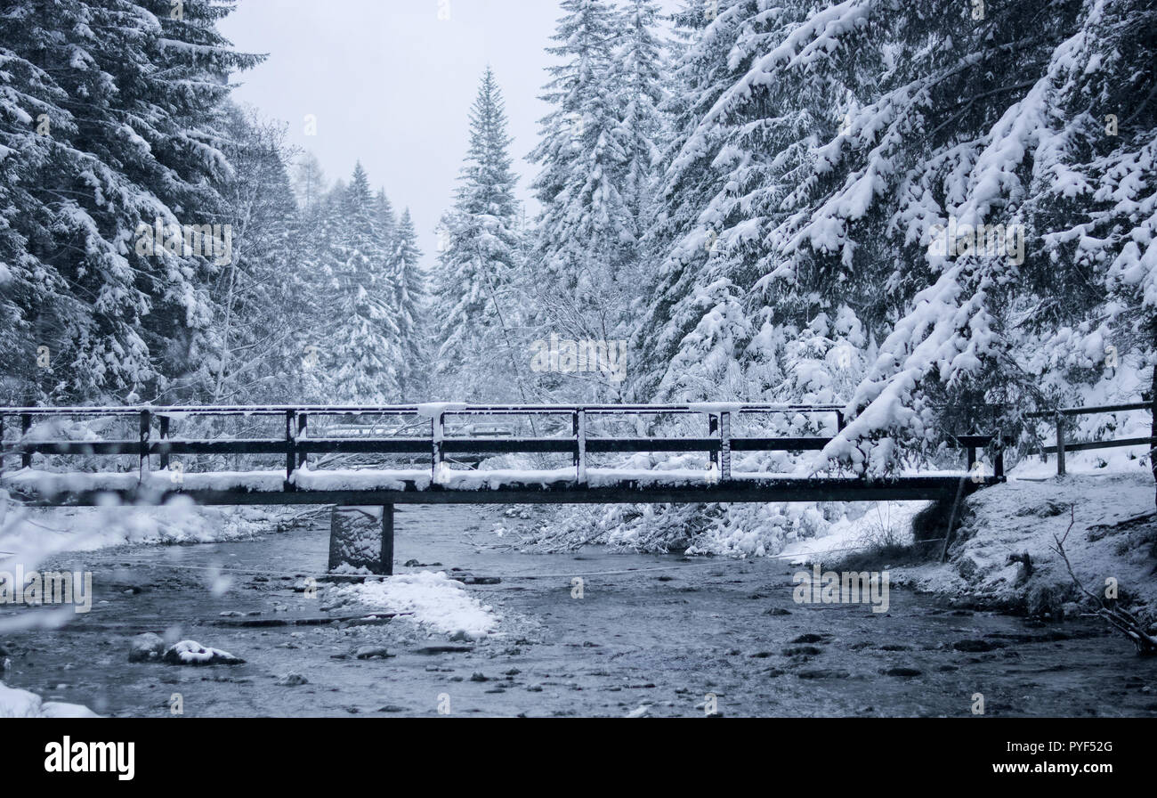 Lake louise in fall season hi-res stock photography and images - Alamy