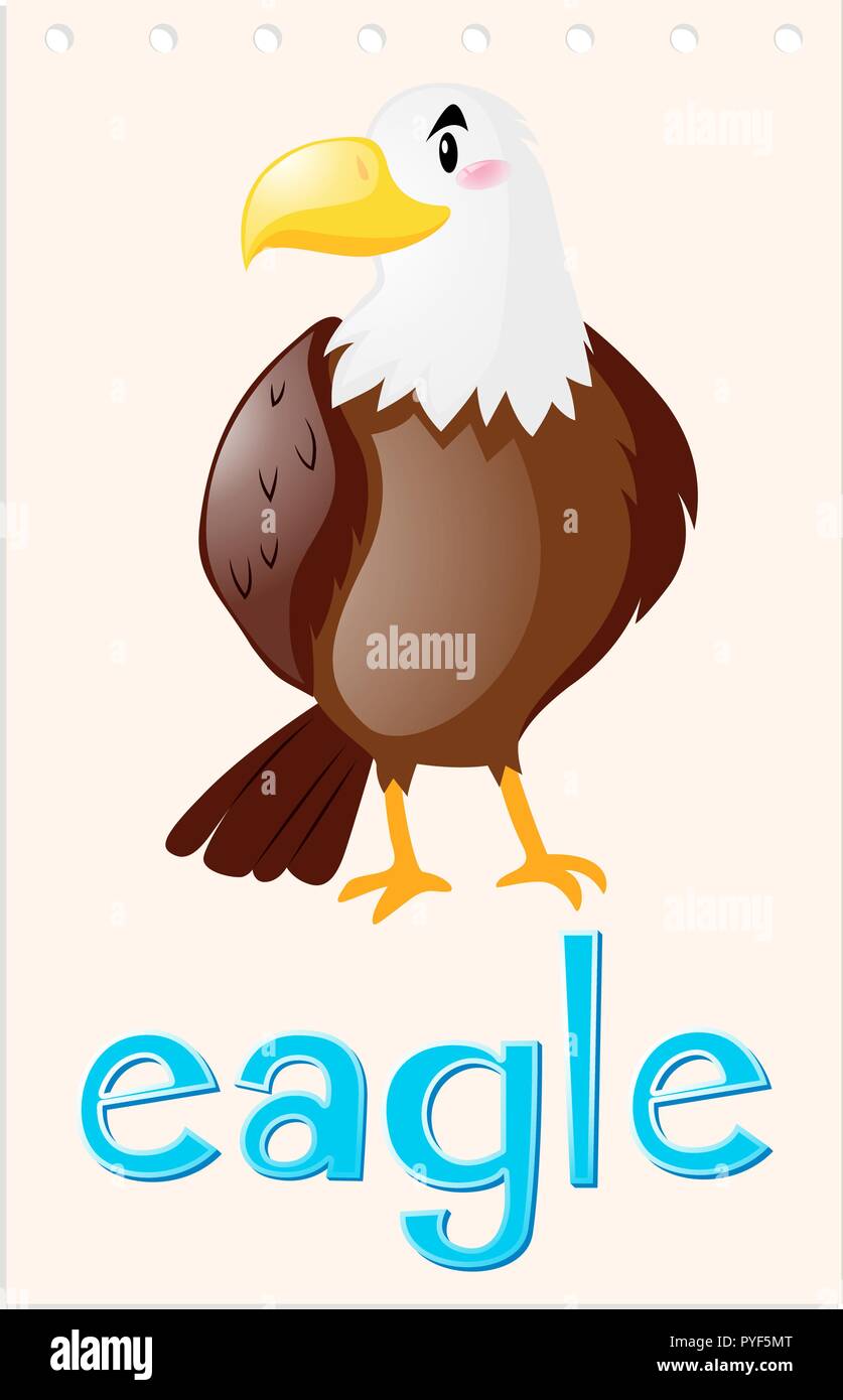 Wordcard with wild eagle illustration Stock Vector Image & Art - Alamy
