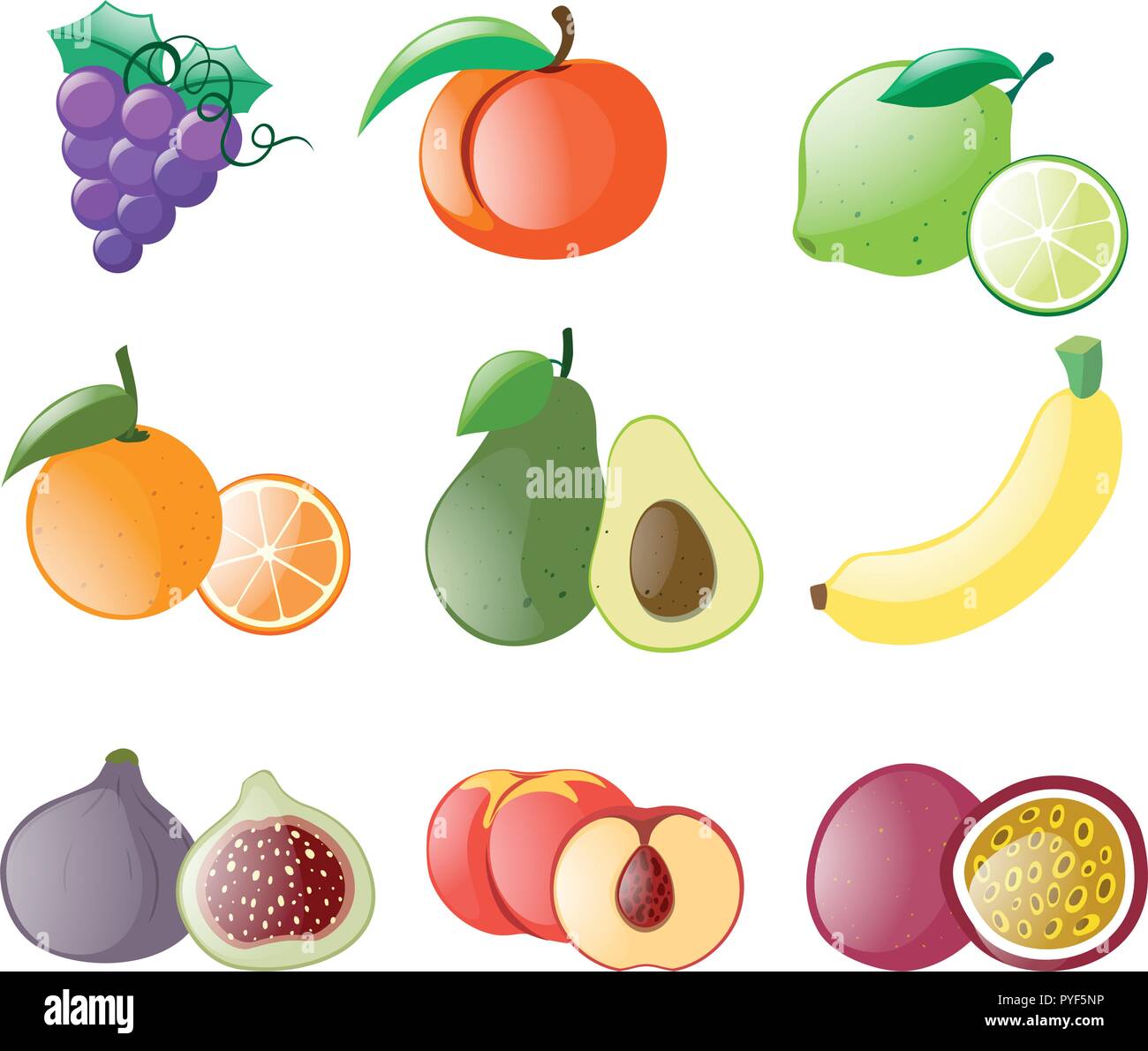Types of fruits Stock Vector Images - Alamy