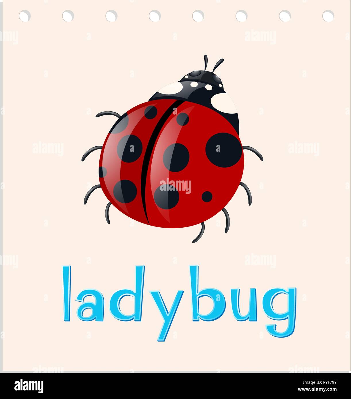 Educational insect art Stock Vector Images - Alamy