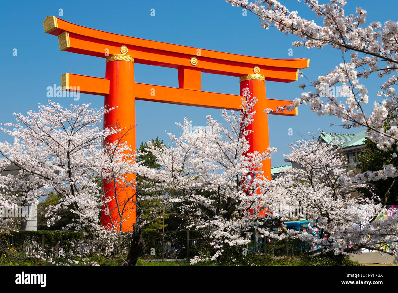 Large torii gate in Kyoto with cherry tree blossom at spring, Japan ...