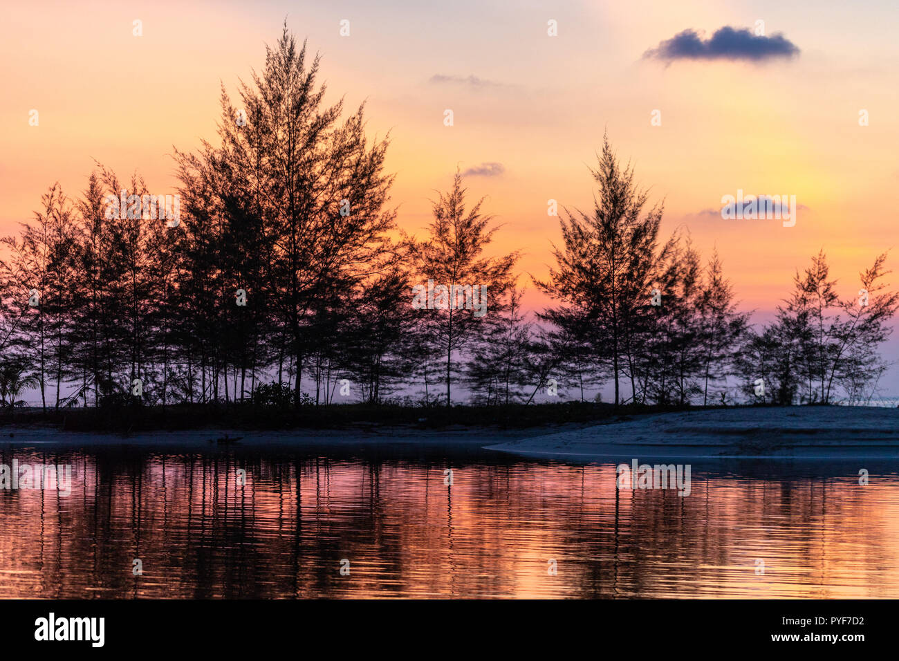 Tropical sunset behind filao trees on the shore Stock Photo - Alamy
