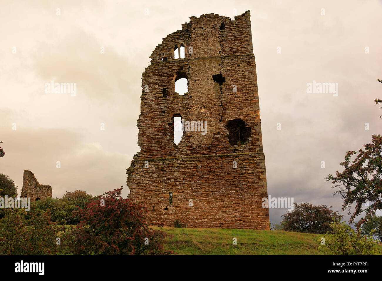 Neville hutton hi-res stock photography and images - Alamy