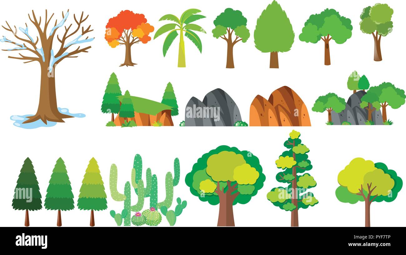 Types Of Trees High Resolution Stock Photography and Images - Alamy