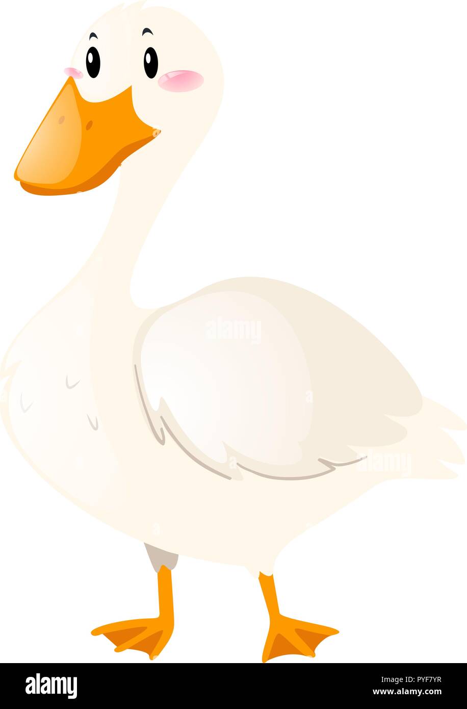 Carnivorous duck hi-res stock photography and images - Alamy