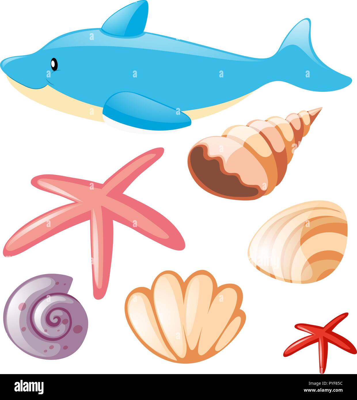 Sea set with dolphin and seashells illustration Stock Vector Image ...