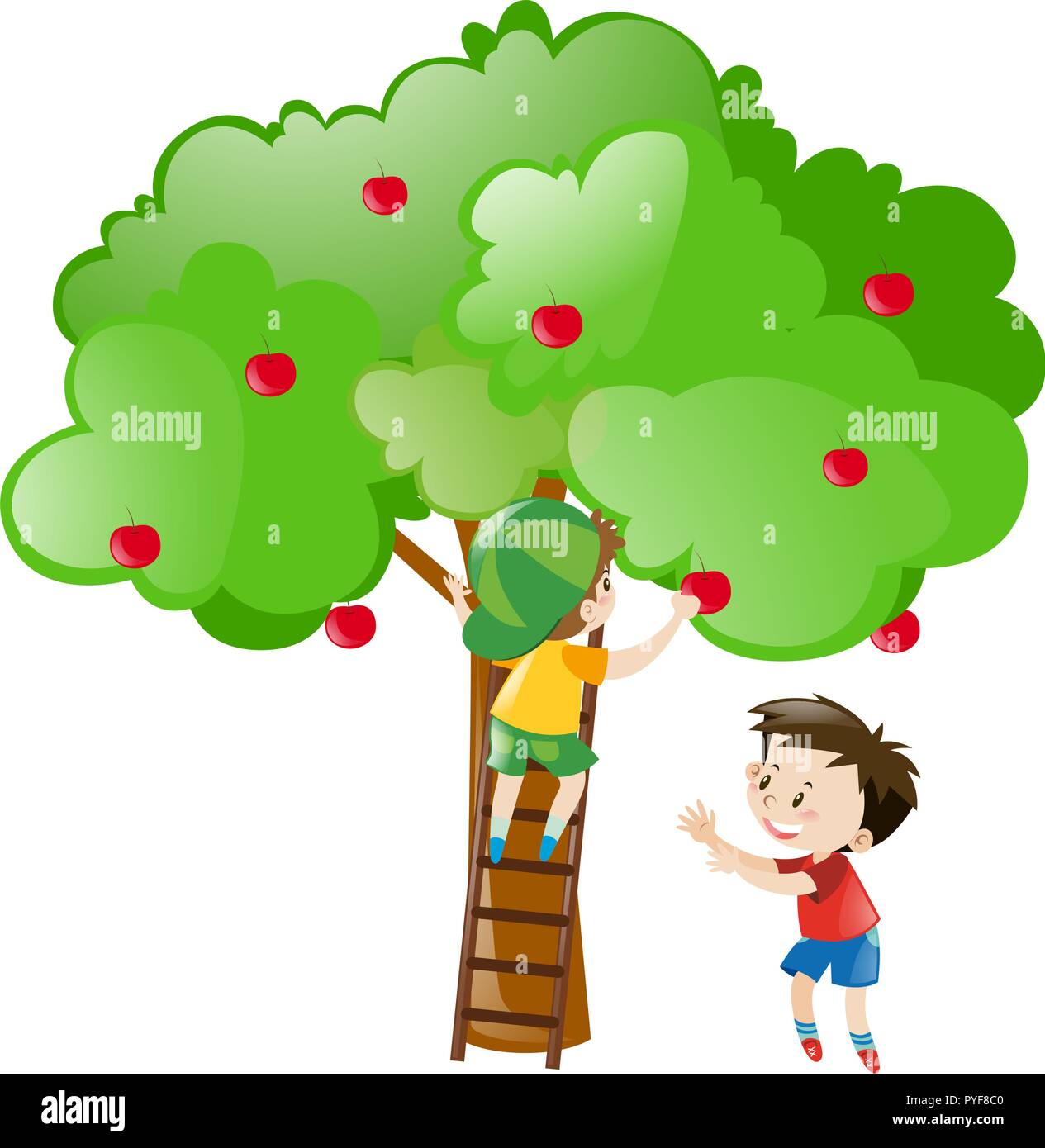 Two boys picking apples from tree illustration Stock Vector Image & Art ...
