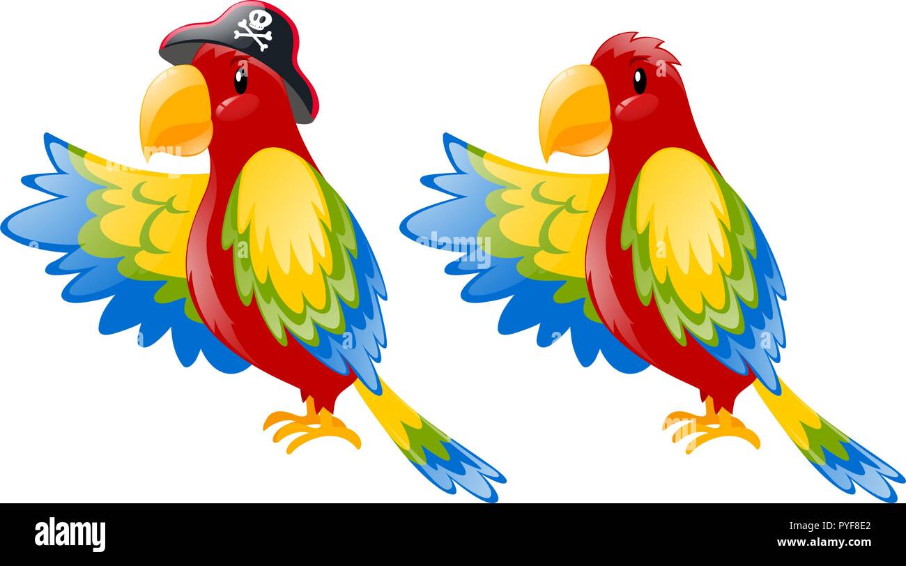 Two parrot with colorful feather illustration Stock Vector Image & Art ...