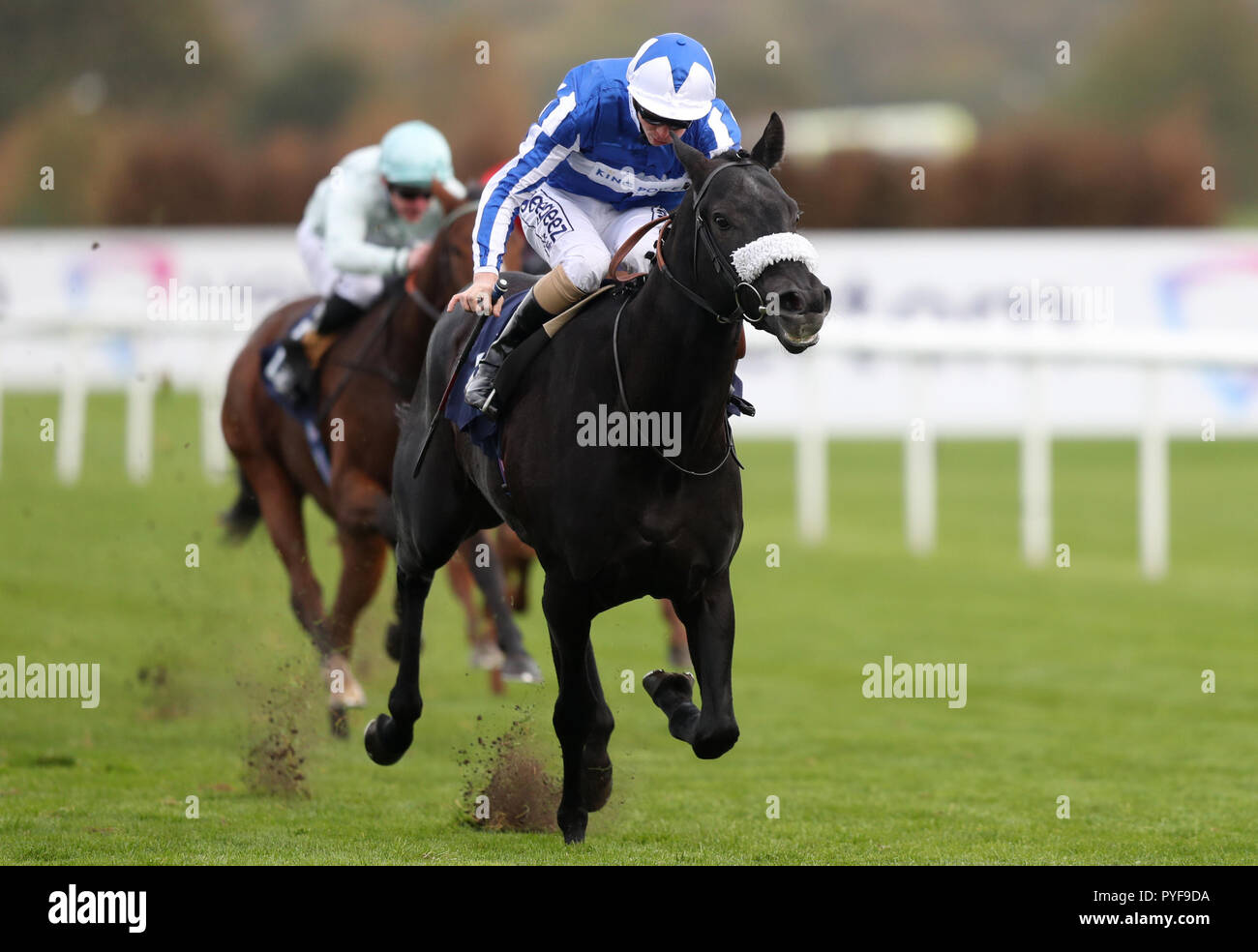 Happy power ridden hi-res stock photography and images - Alamy