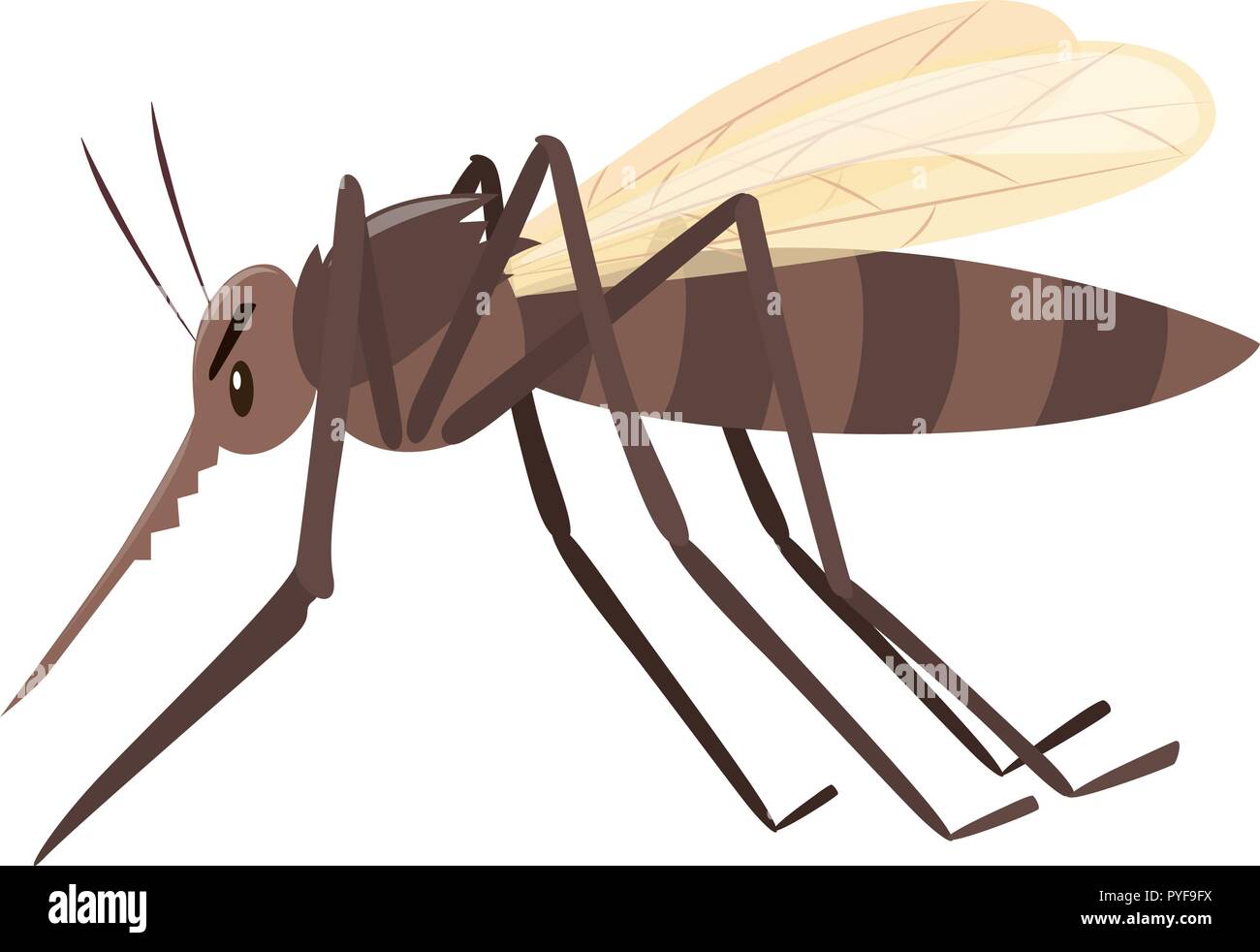 Flying Mosquito Illustration