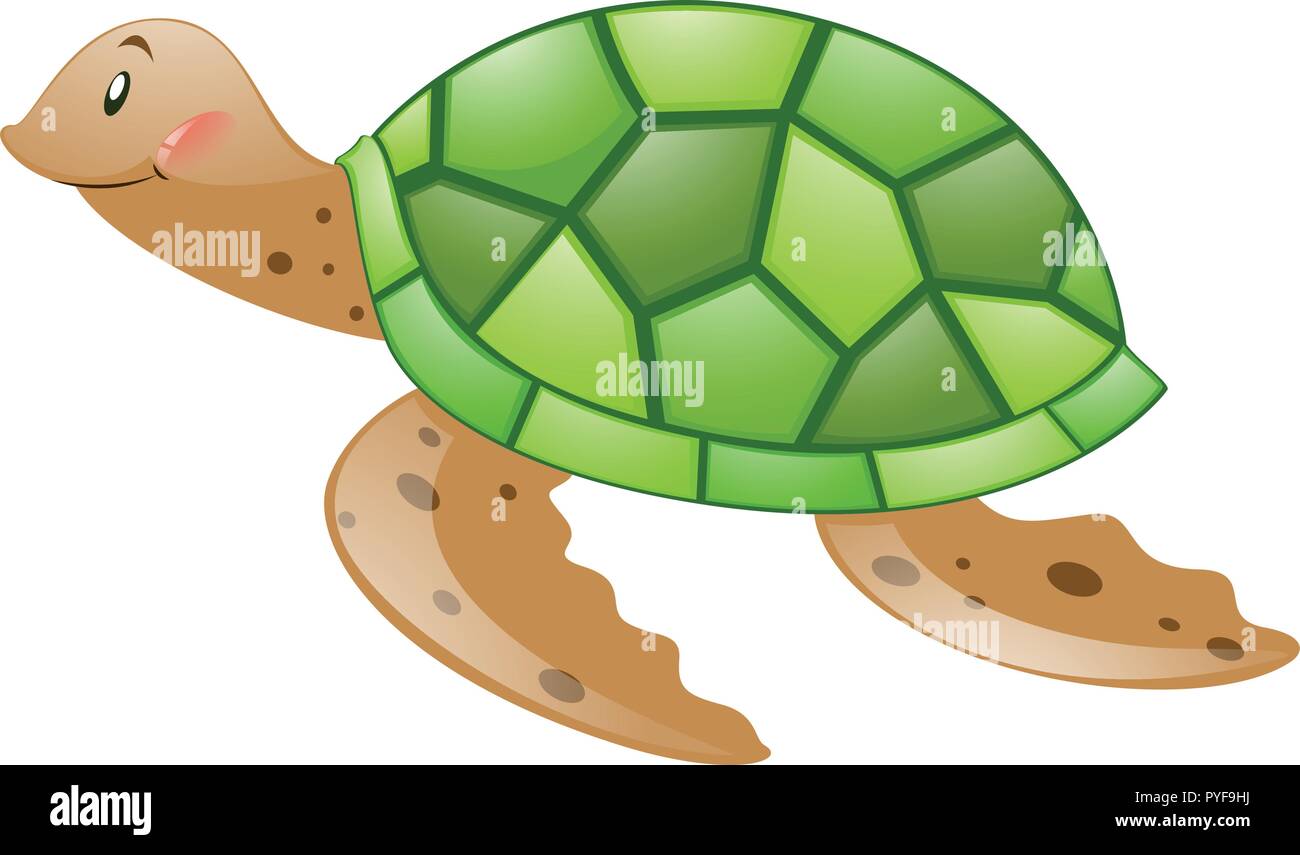 Turtle with green shell illustration Stock Vector Image & Art - Alamy