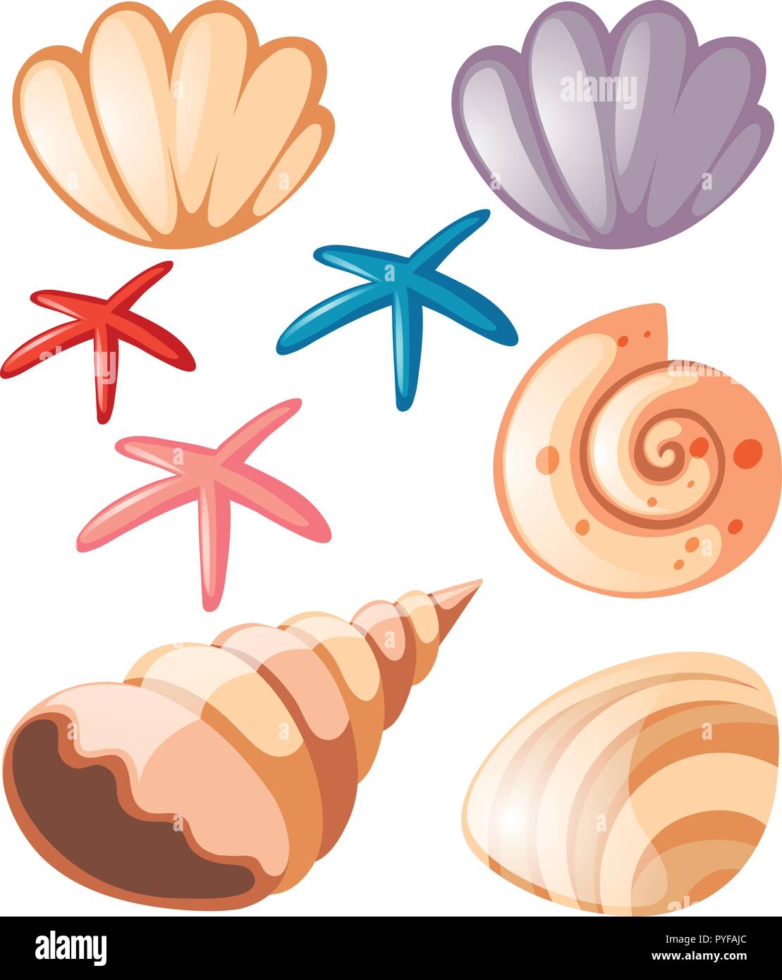 Ocean set with seashells and starfish illustration Stock Vector Image ...