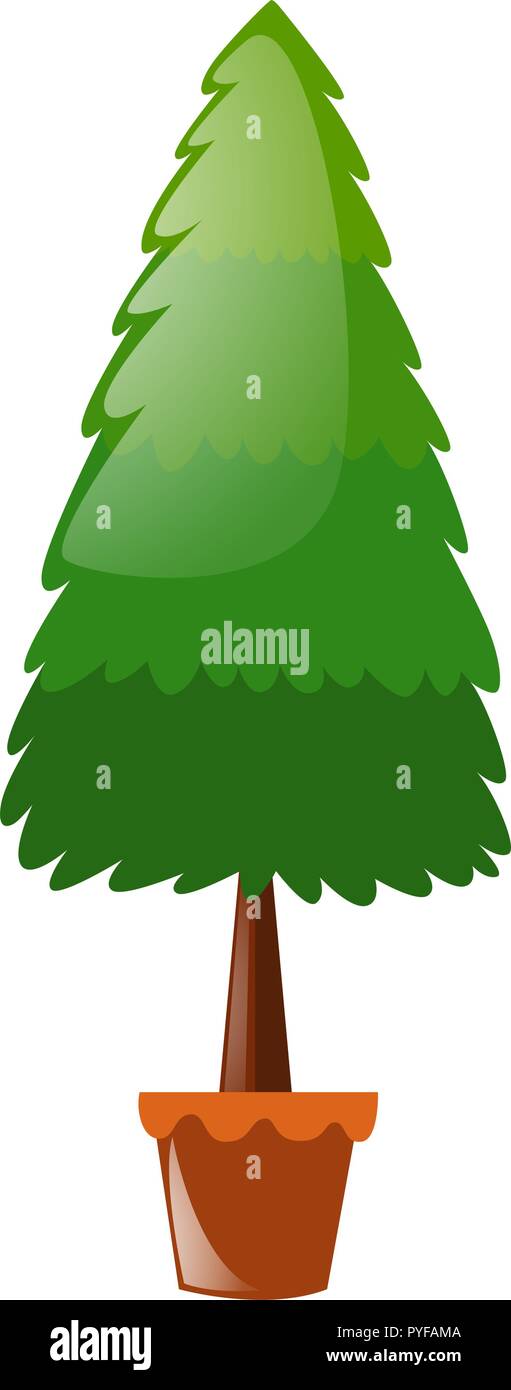 Pine tree in clay pot illustration Stock Vector Image & Art - Alamy