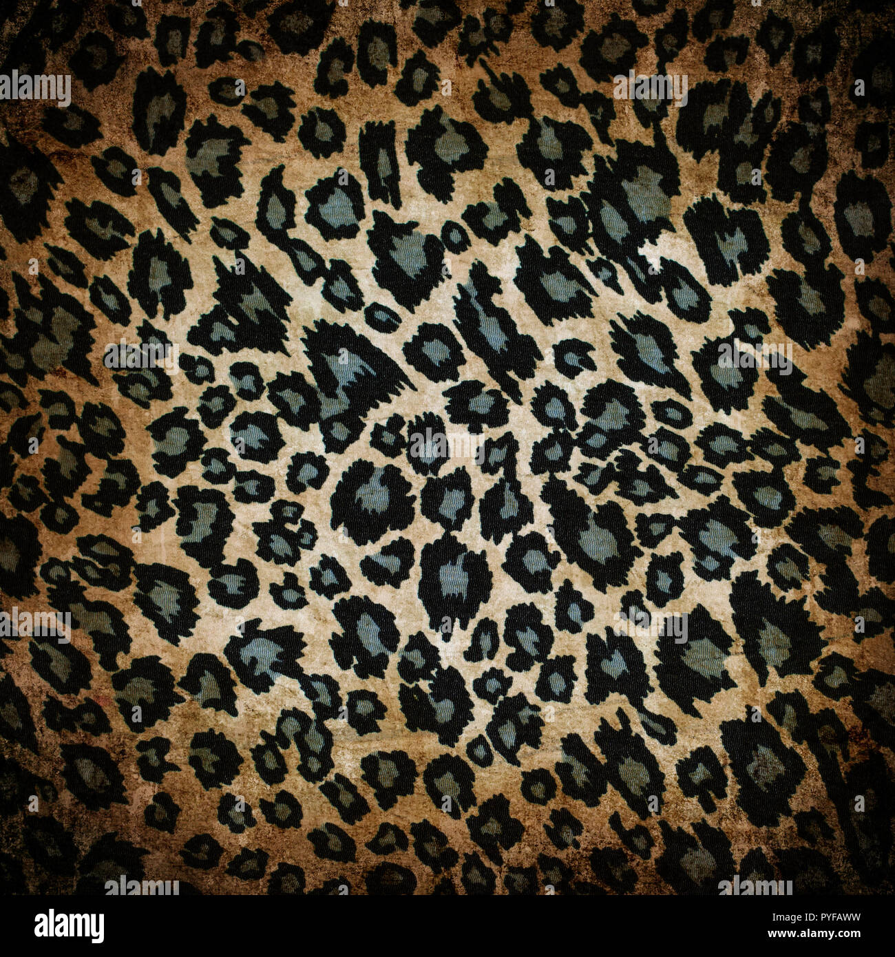 Wild animal skin pattern - leopard or cheetah Stock Photo - Alamy