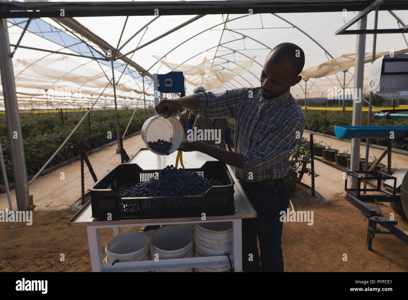 Planting crate hi-res stock photography and images - Alamy