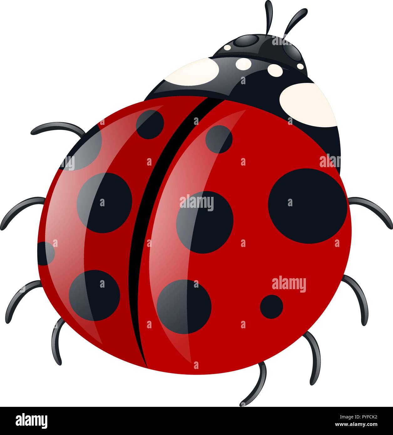 Ladybug Wings Clipart High Resolution Stock Photography and Images - Alamy