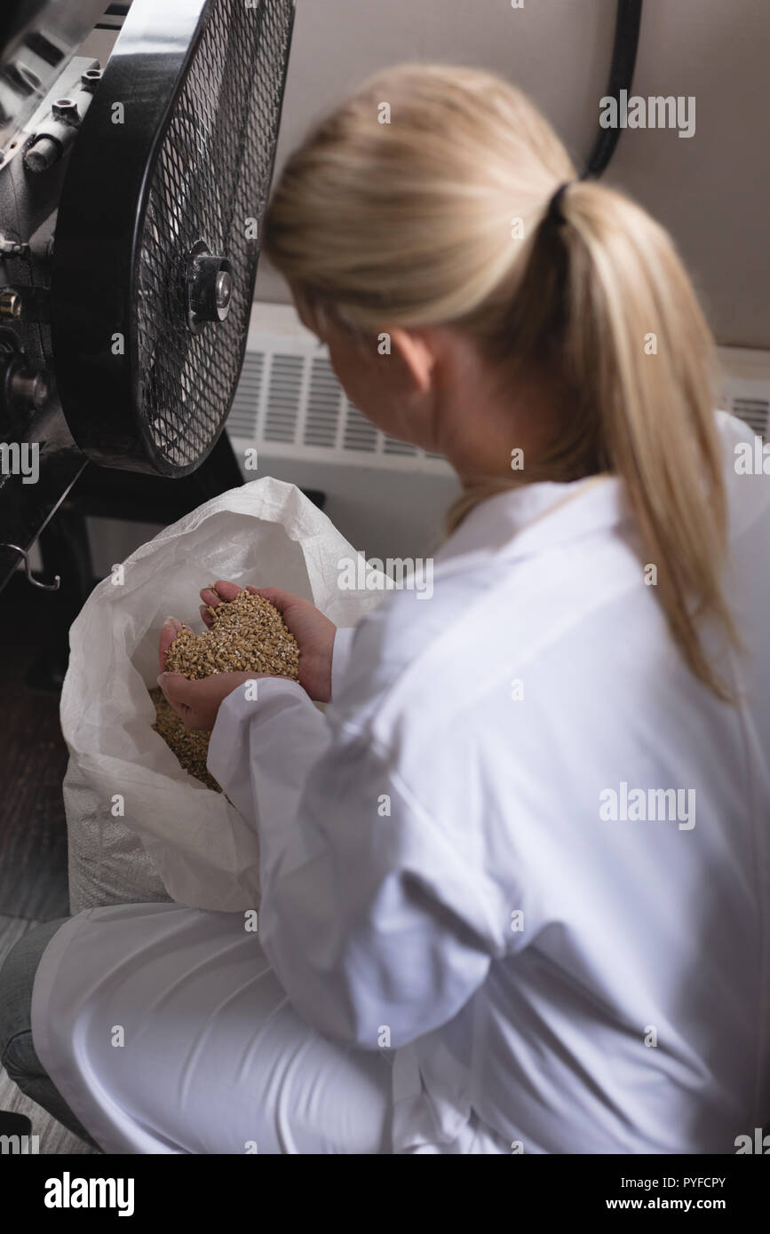 Female worker putting wheat in wheat crusher machine Stock Photo - Alamy