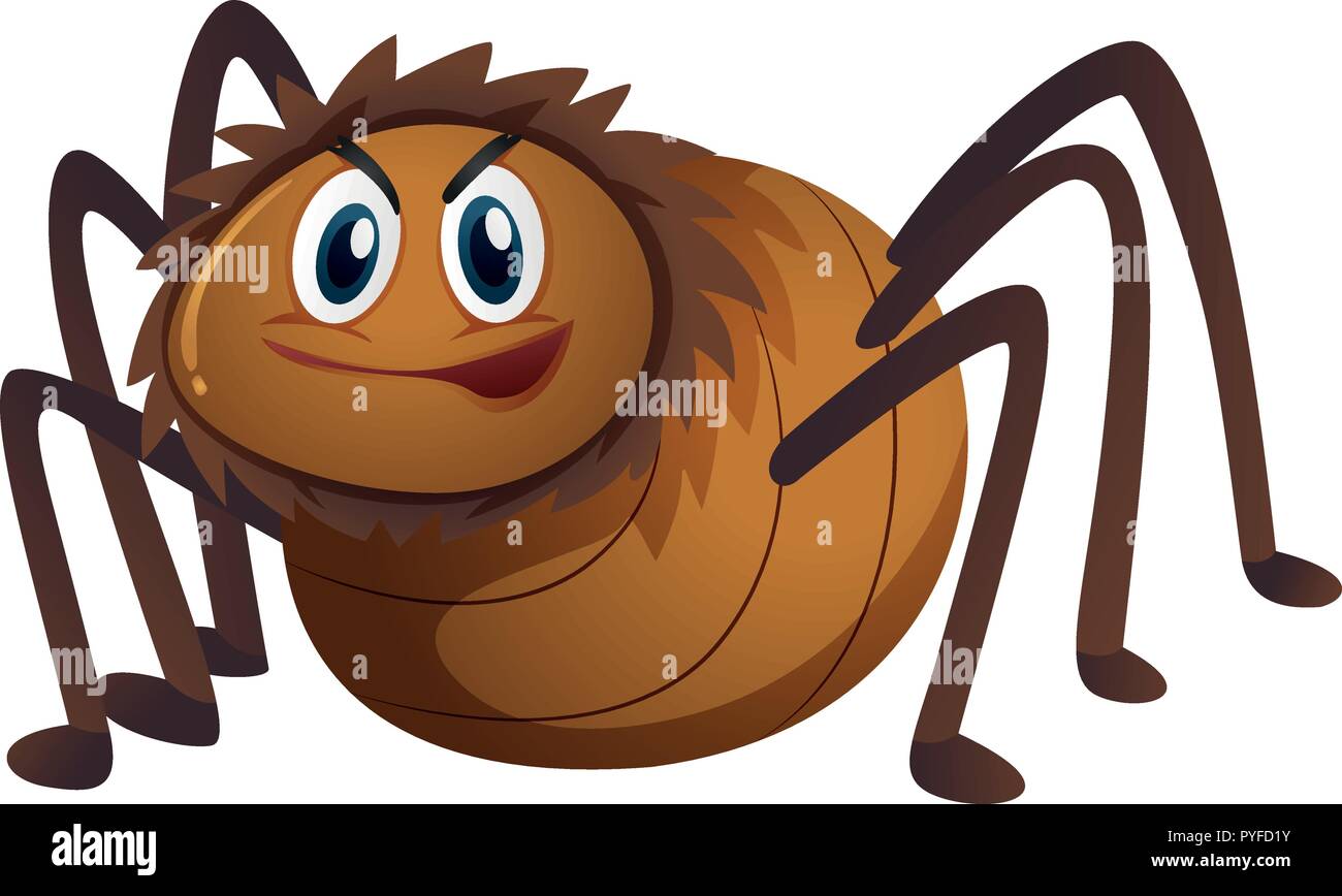 Brown spider on white background illustration Stock Vector Image & Art ...
