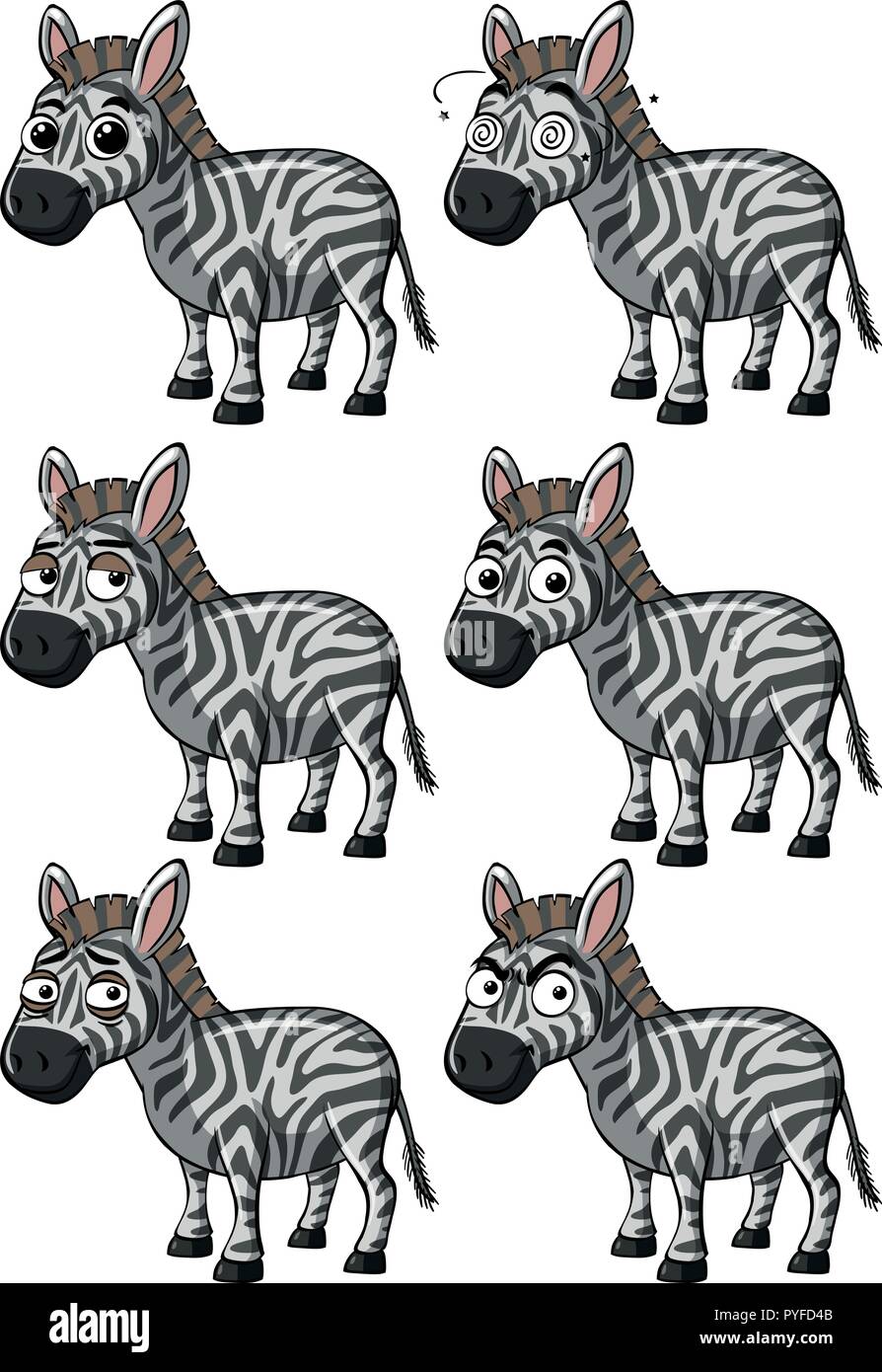 Zebra with different expressions illustration Stock Vector Image & Art ...