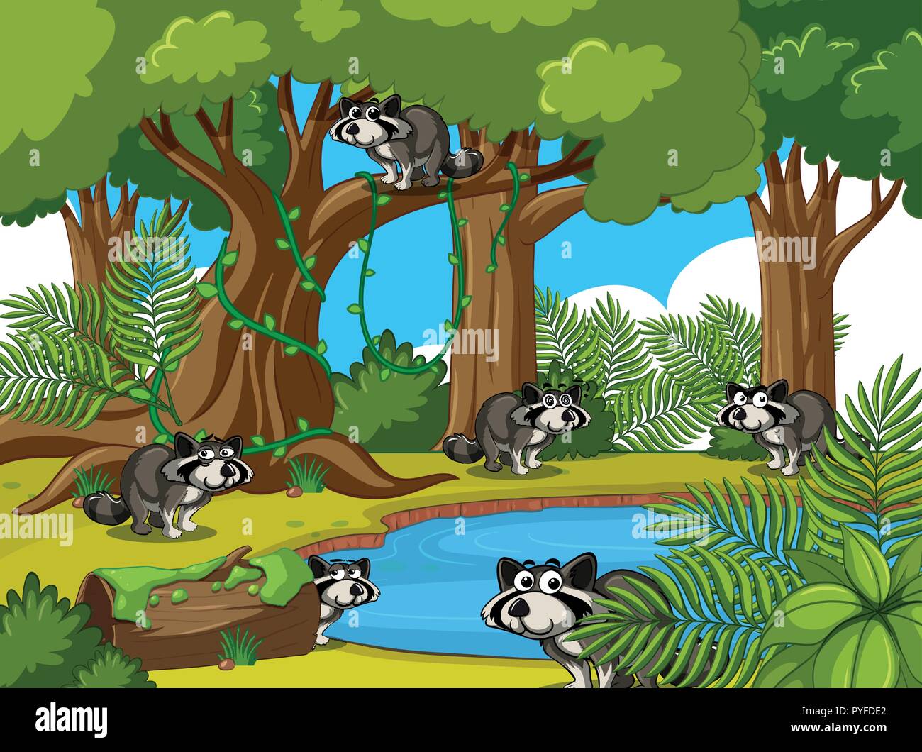Forest scene with many raccoons illustration Stock Vector Image & Art ...