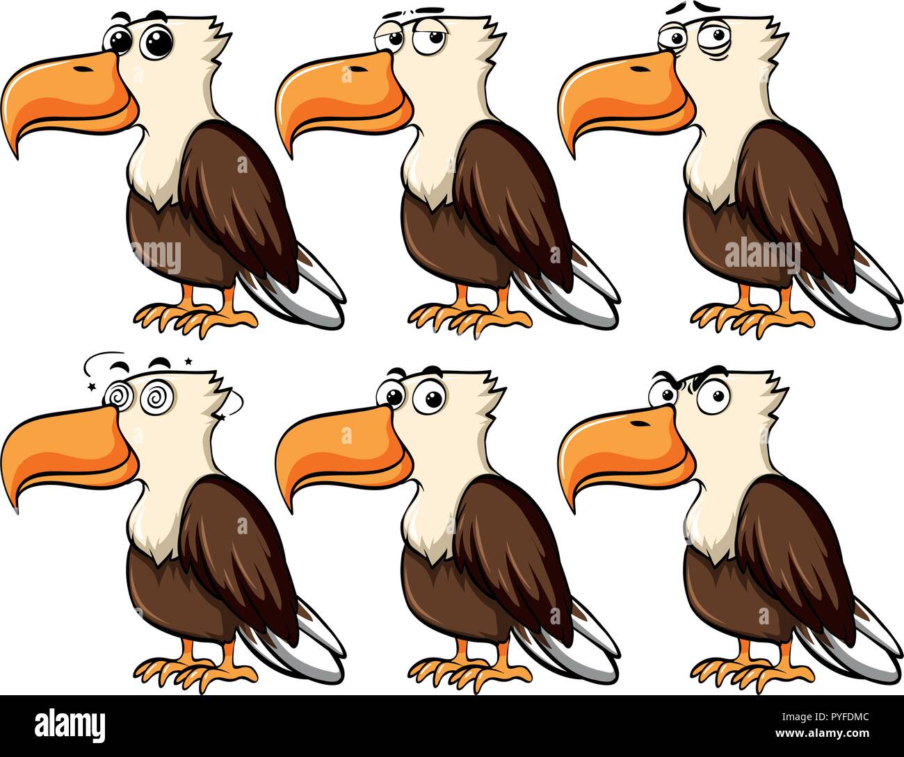 Sad Eagle High Resolution Stock Photography and Images - Alamy